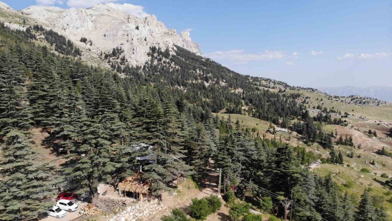 Sıcaklardan kaçanların adresi, Ilıca’nın yeşil kalbi: Halimin Gölü ...