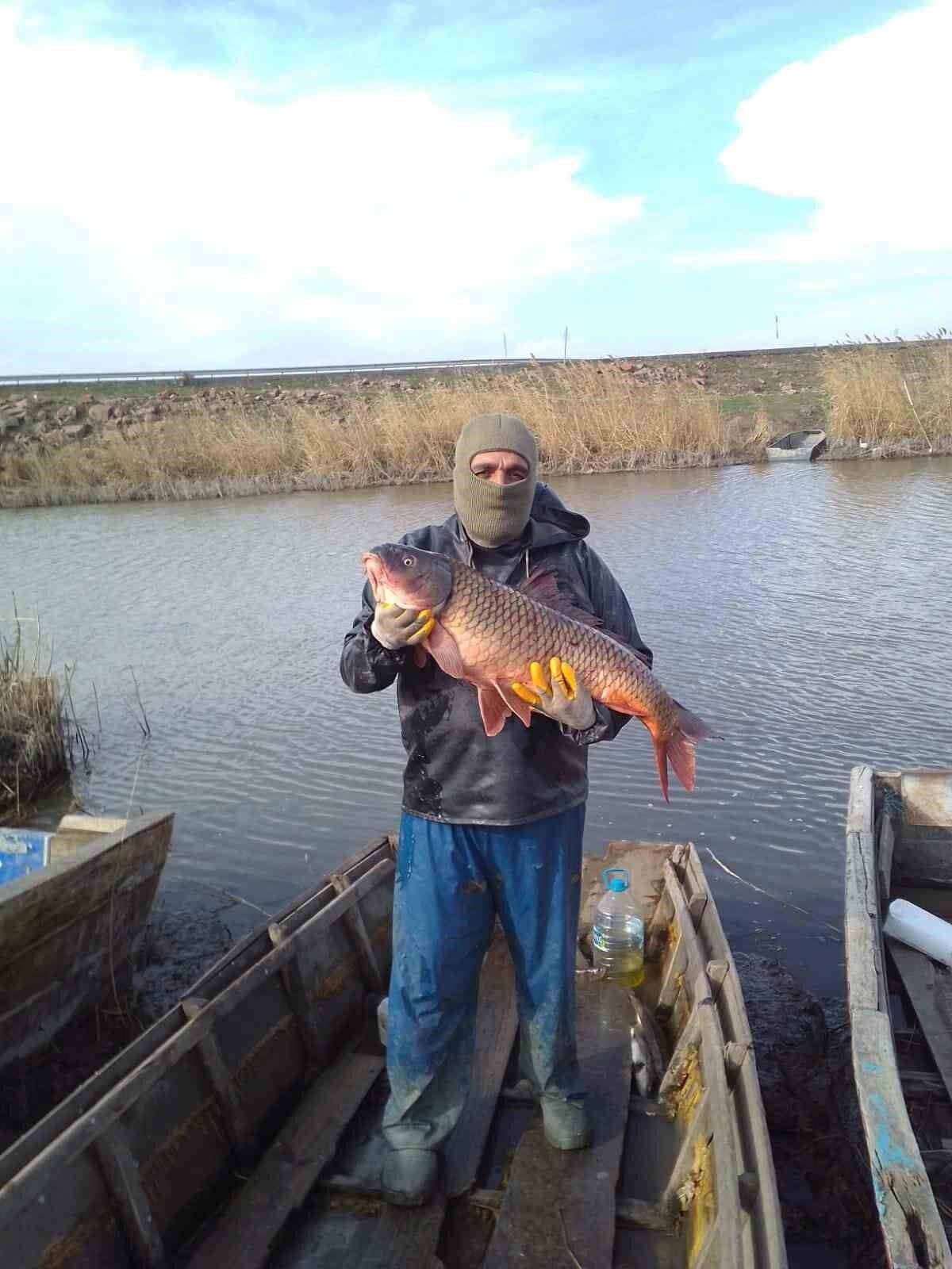 Enez’de ağlara 18 kiloluk sazan balığı takıldı - Sonses TV / Mersin'den ...
