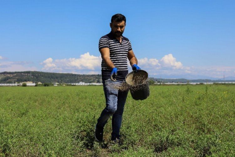 Mera alanlarında kapsamlı iyileştirme çalışması - Mersin Haberleri ... Mera alanlarında kapsamlı iyileştirme çalışması - Mersin Haberleri ...